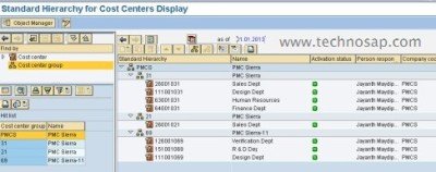 How to define Standard Hierarchy in SAP?