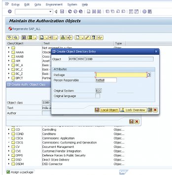 Authorization Objects (SU21) How to create and customize