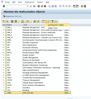 Authorization Objects (SU21) How to create and customize